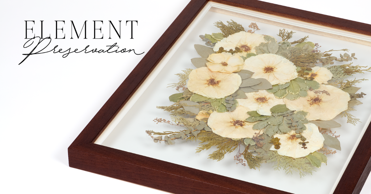 Collections – Element Design